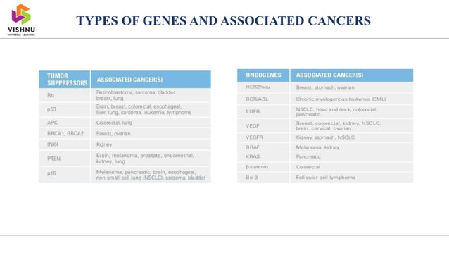 Cancer ppt | PPT