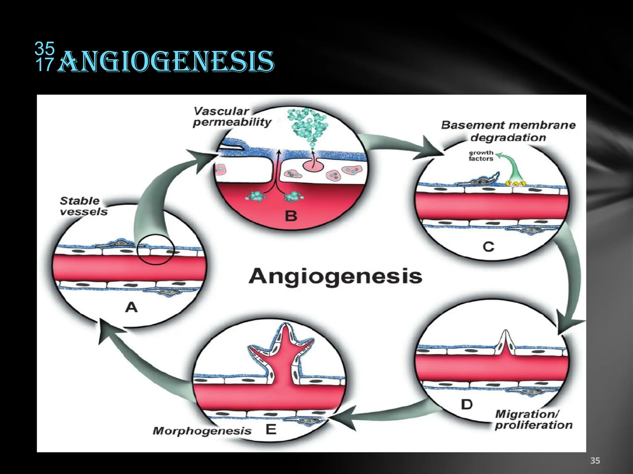 Development of cancer cells etiology, classification $ staging of ...