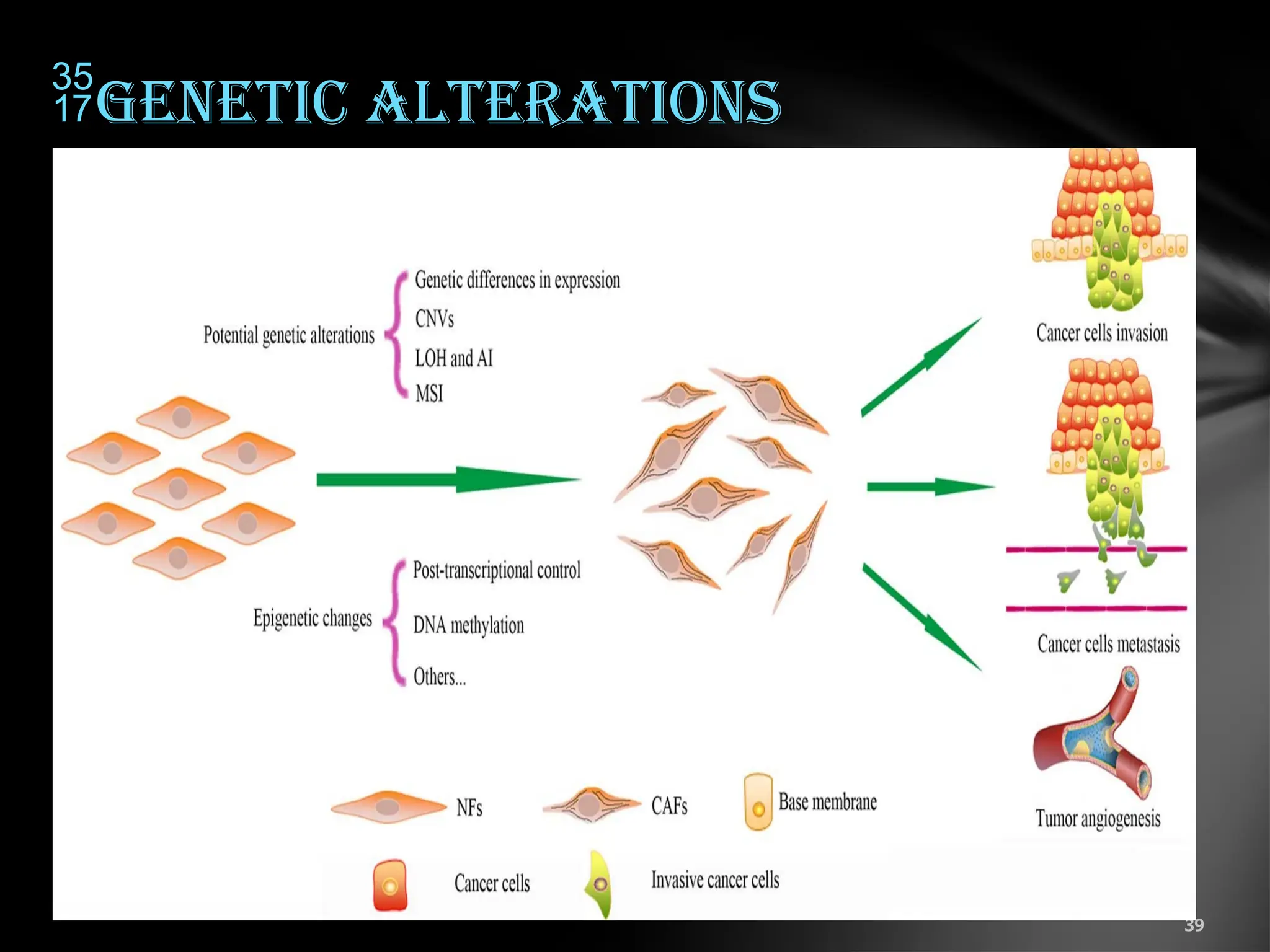 Development of cancer cells etiology, classification $ staging of ...