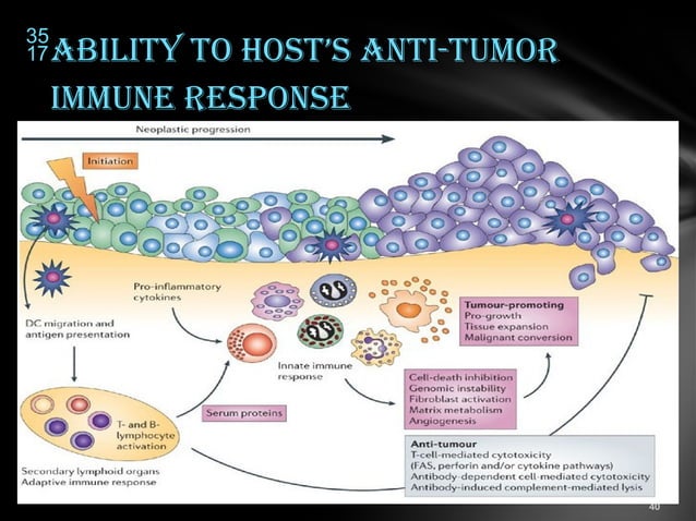 Development of cancer cells etiology, classification $ staging of ...