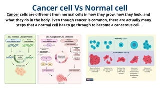 Comprehensive Medical Presentation on Cancer: Types, Causes, Symptoms ...