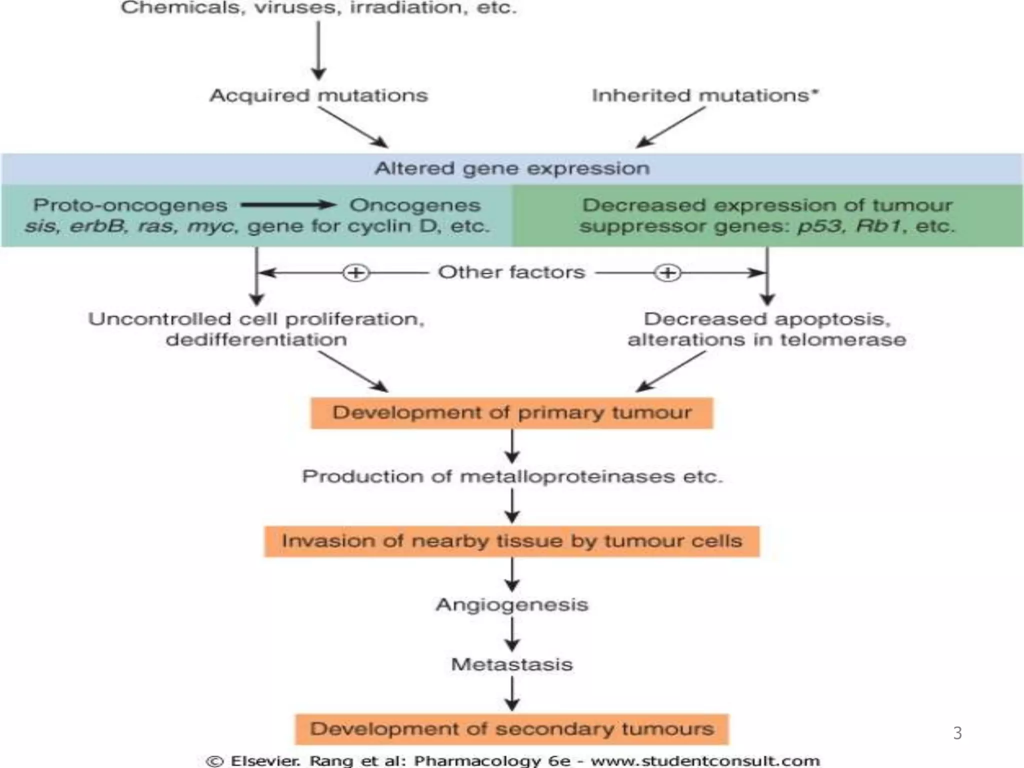 Pathophysiology Chemotherapy of Cancer | PPTX