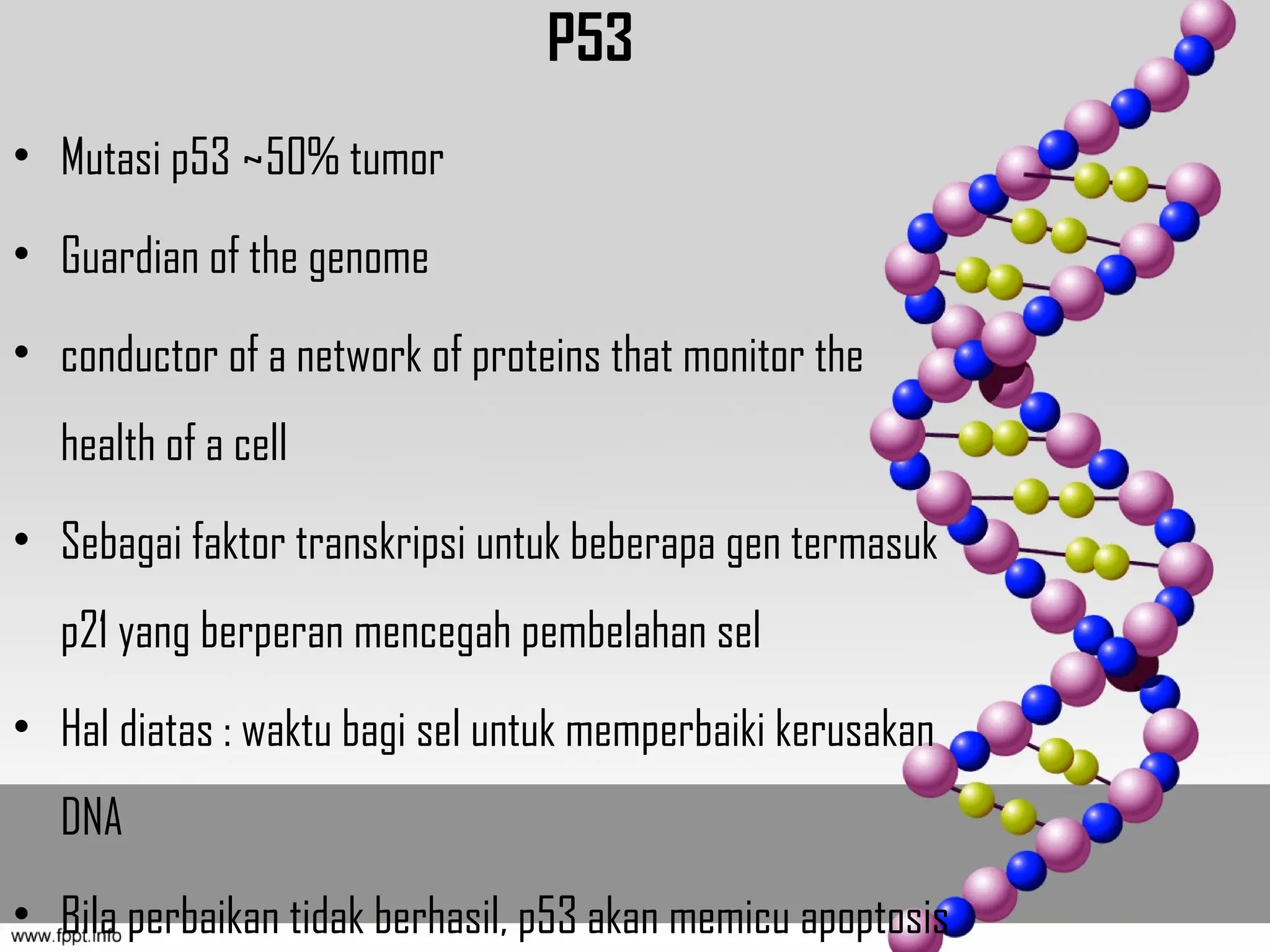 hereditas dalam kanker bagaimana genetika | PPTX