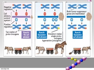 hereditas dalam kanker bagaimana genetika | PPTX