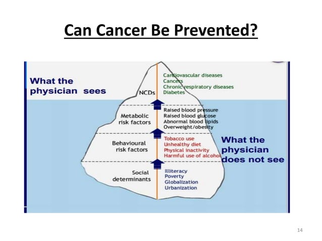 Common Cancers in Women | PPTX