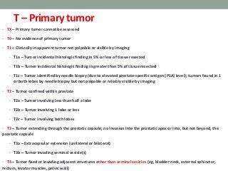 Cancer prostate | PPTX