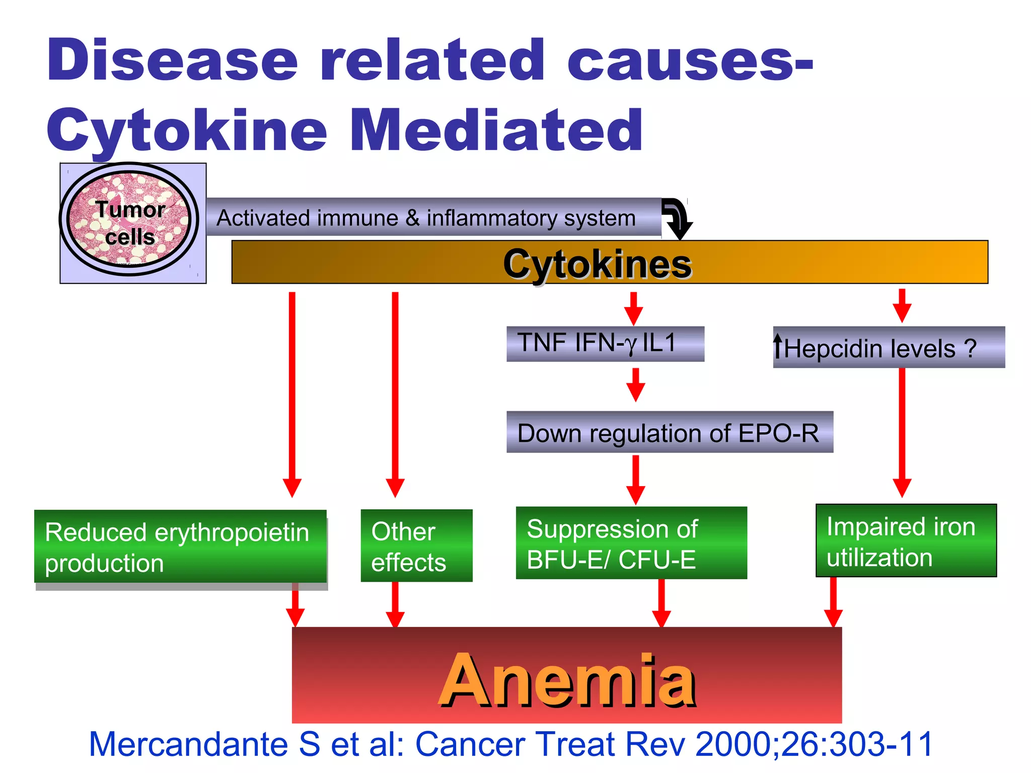 Cancer related anemia | PPT