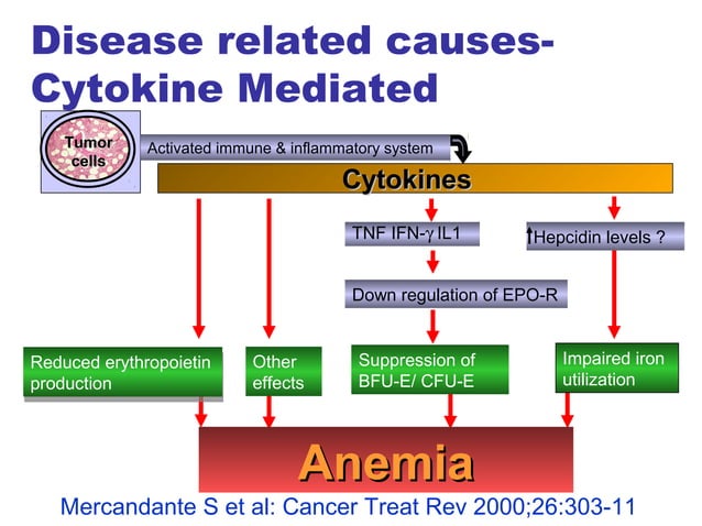 Cancer related anemia | PPT
