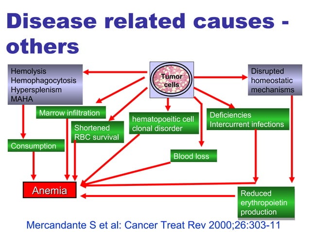 Cancer related anemia | PPT