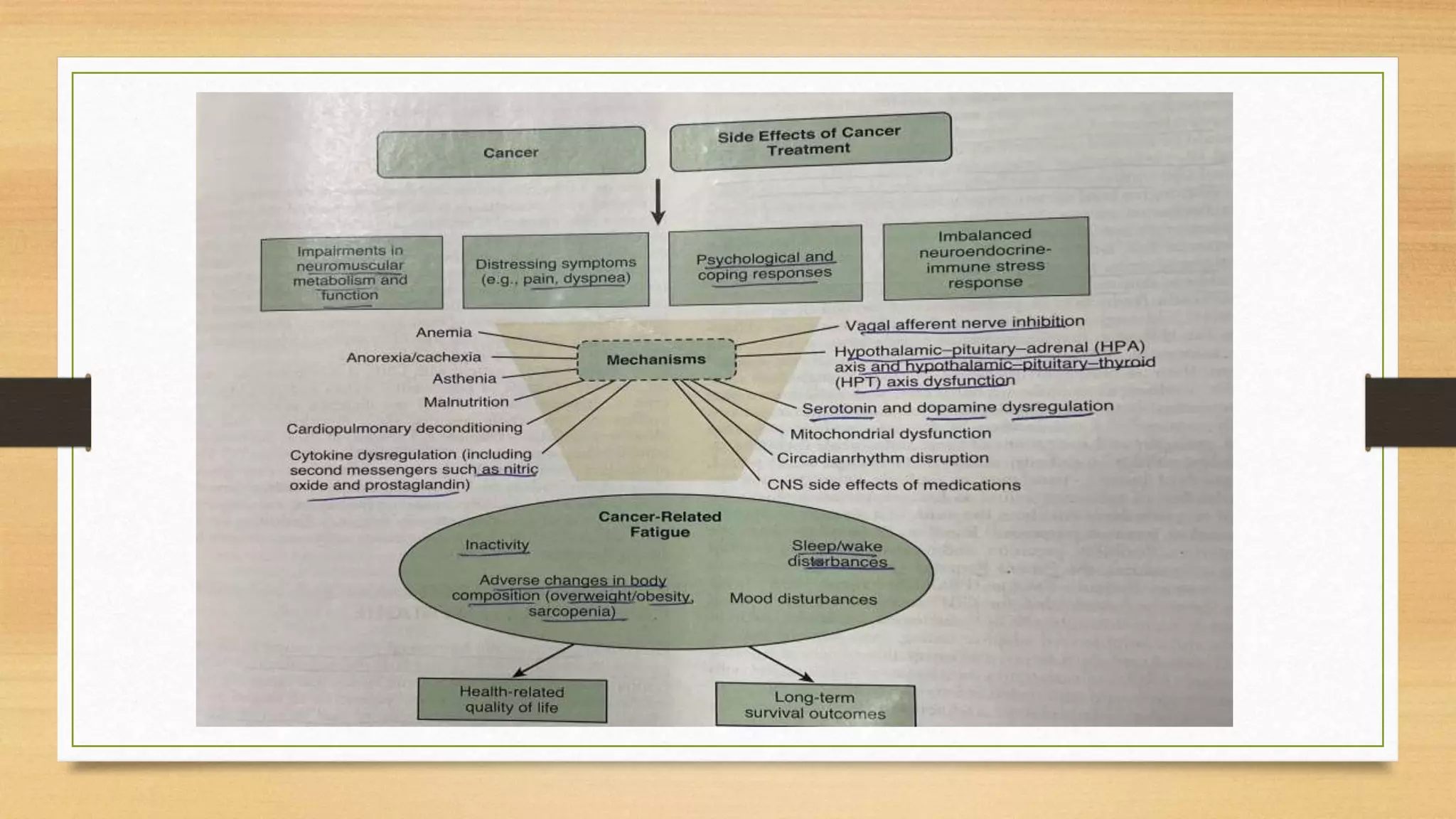Cancer Related Fatigue.pptx