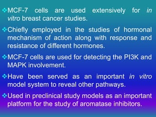 MCF-7: Human Breast Cancer Cell Line | PPT