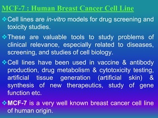 MCF-7: Human Breast Cancer Cell Line | PPT
