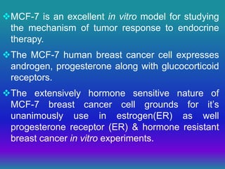MCF-7: Human Breast Cancer Cell Line | PPT