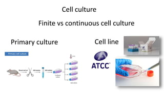 cancer research metodologies.pptx