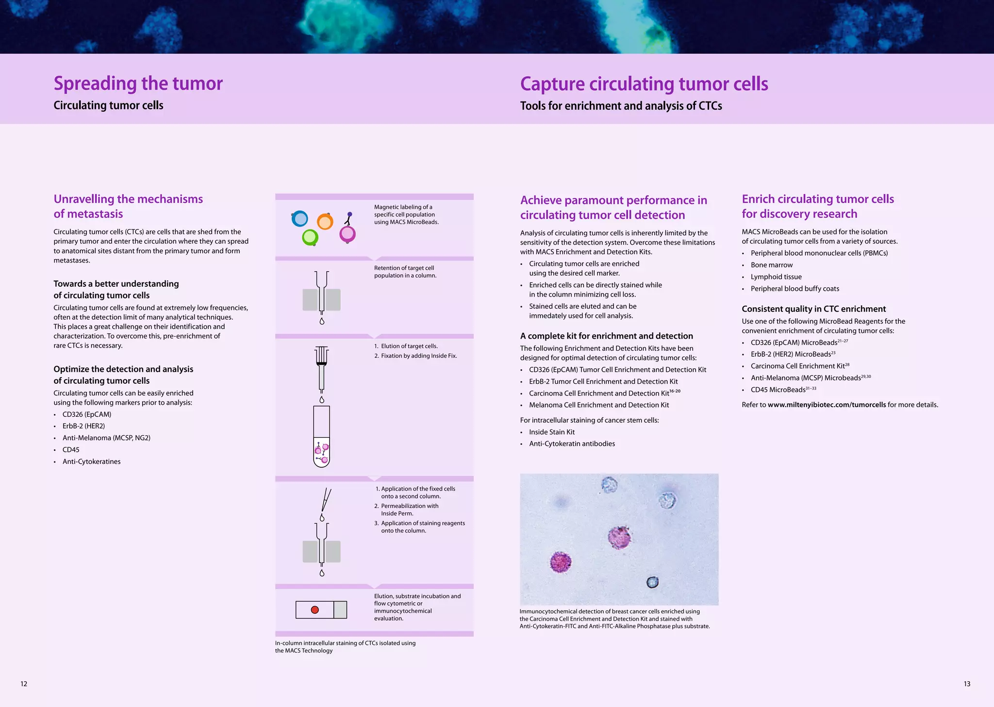 Cancer Research Biotec | PDF