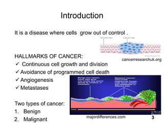 Cancer | PPT