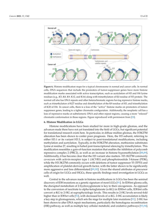DNA Methylation and Histone Modification in Low-Grade Gliomas: Current Understanding and ...