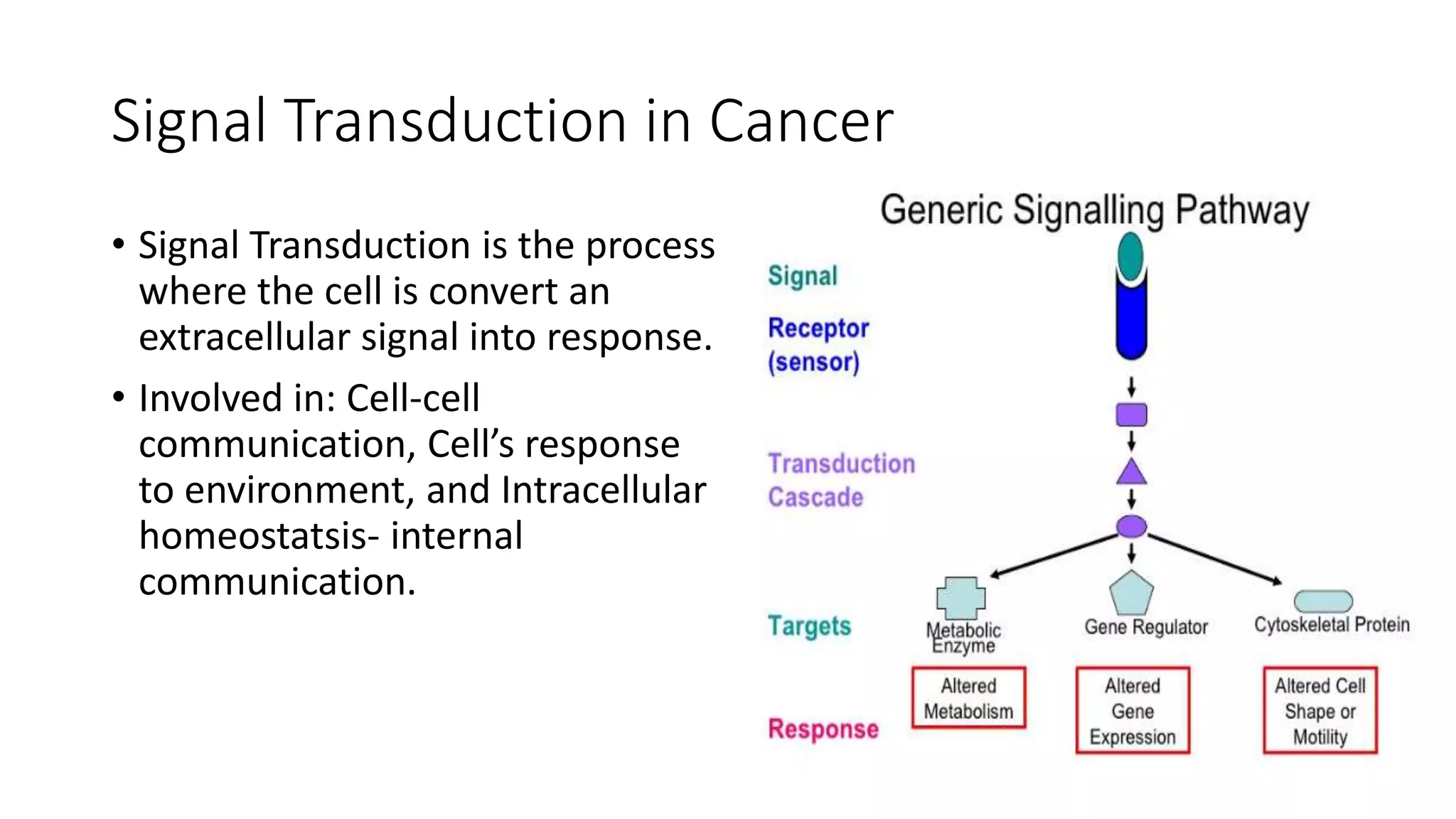 Cancer signaling pathway | PPTX