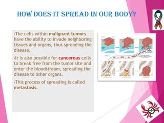 Cancer slides | PPTX