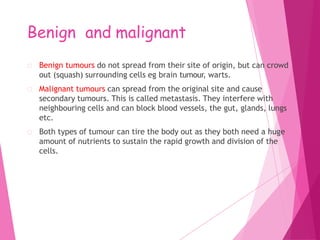 Cancer slides | PDF