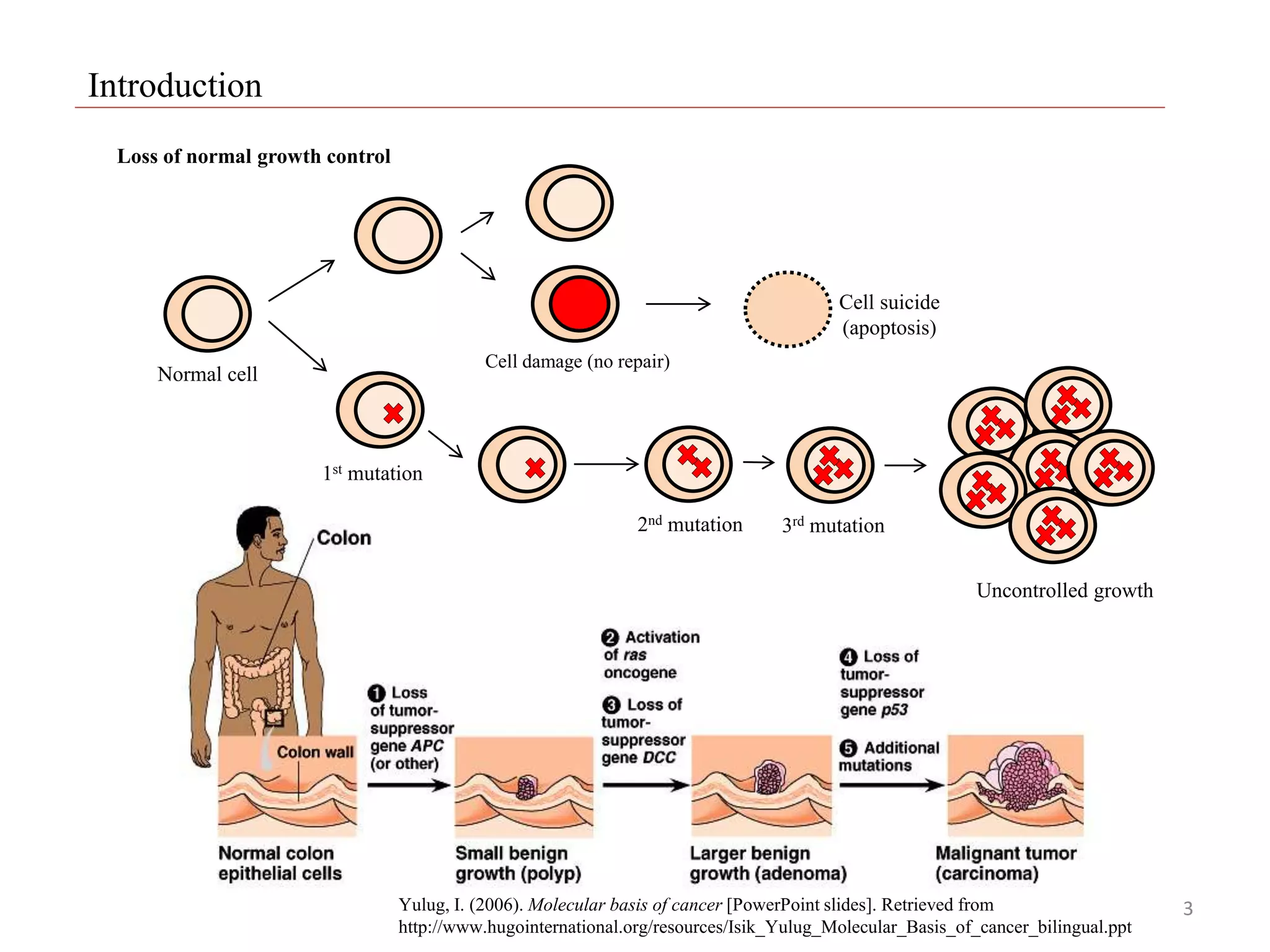 Normal/Tumor somatic mutations report tool | PPT