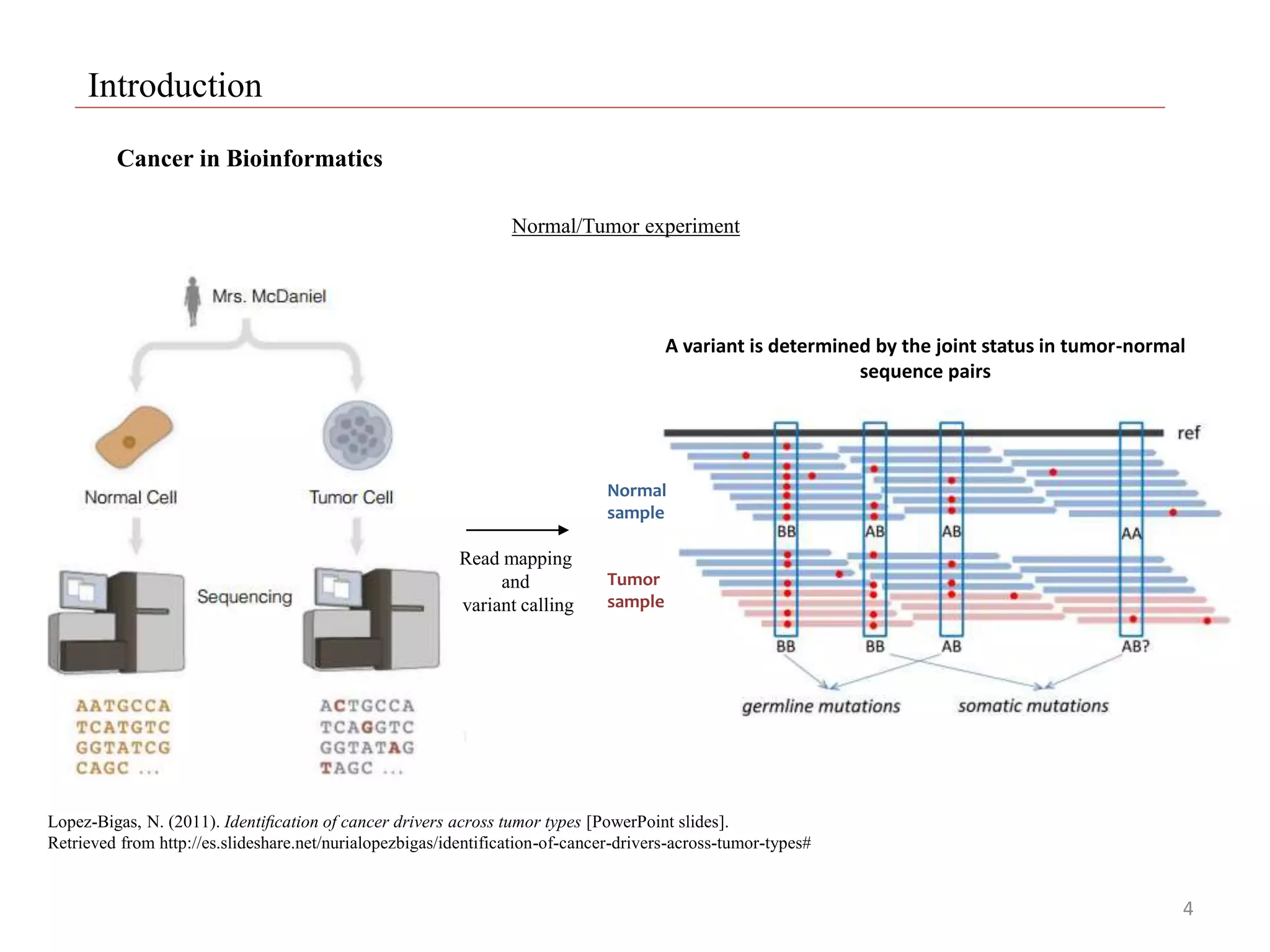 Normal/Tumor somatic mutations report tool | PPT