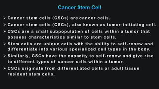 Cancer Stem Cell | PPTX