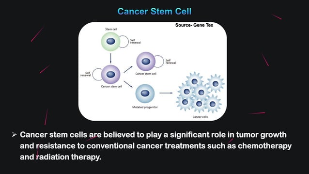 Cancer Stem Cell | PPTX