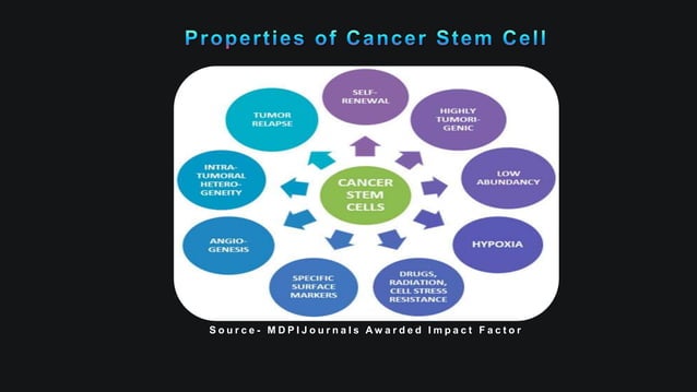 Cancer Stem Cell | PPTX