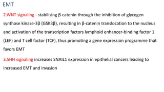 Cancer stem cell dr.neelam ahirwar | PPTX