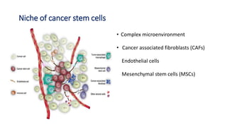 Cancer stem cell dr.neelam ahirwar | PPTX
