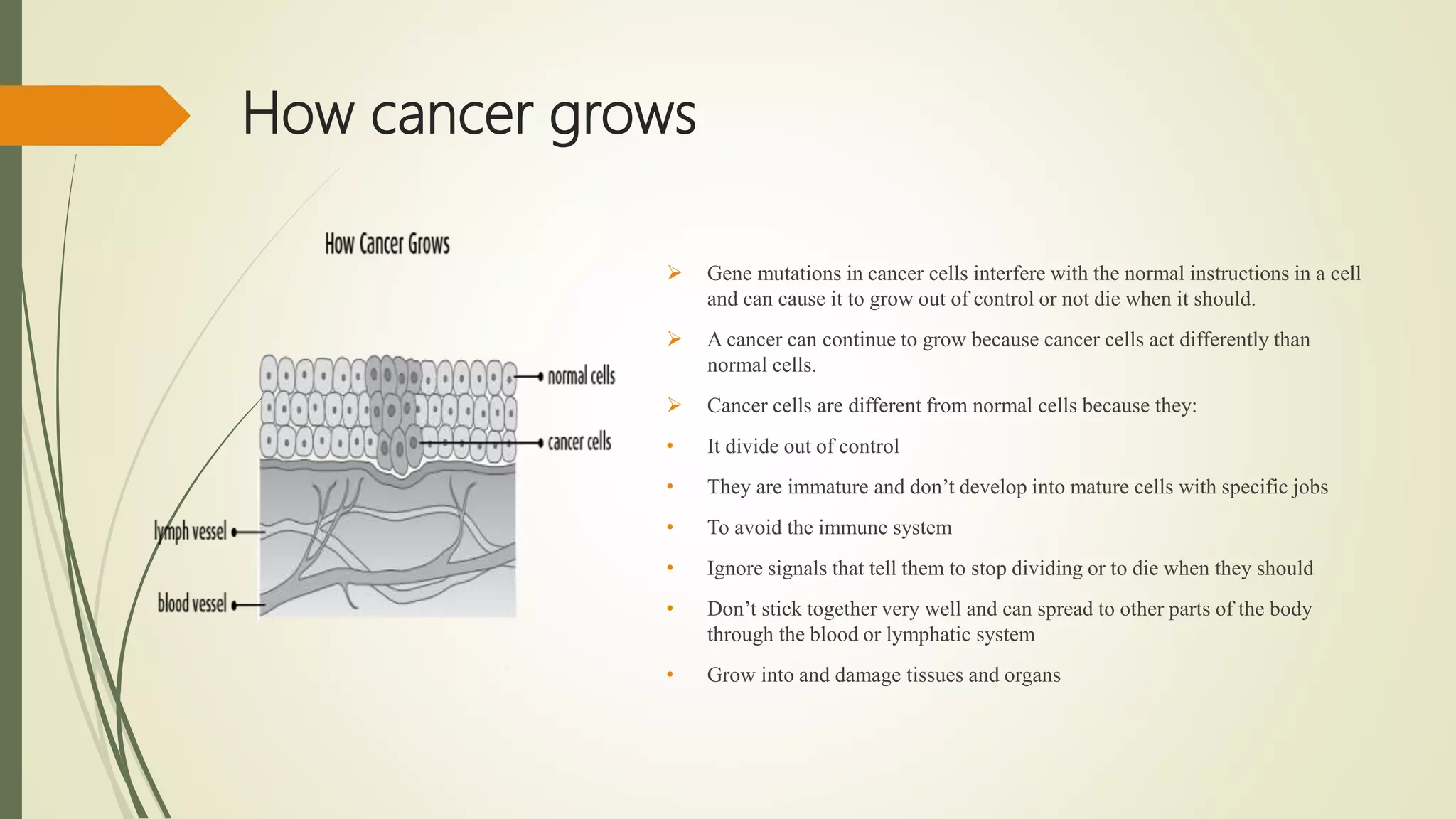 Cancer stem cells | PPTX