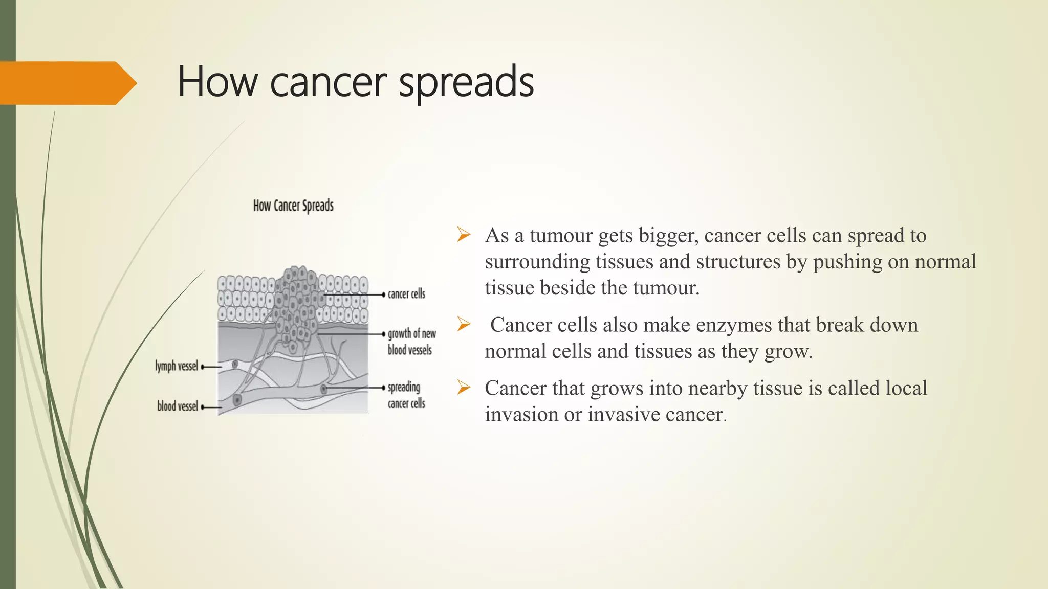 Cancer stem cells | PPTX