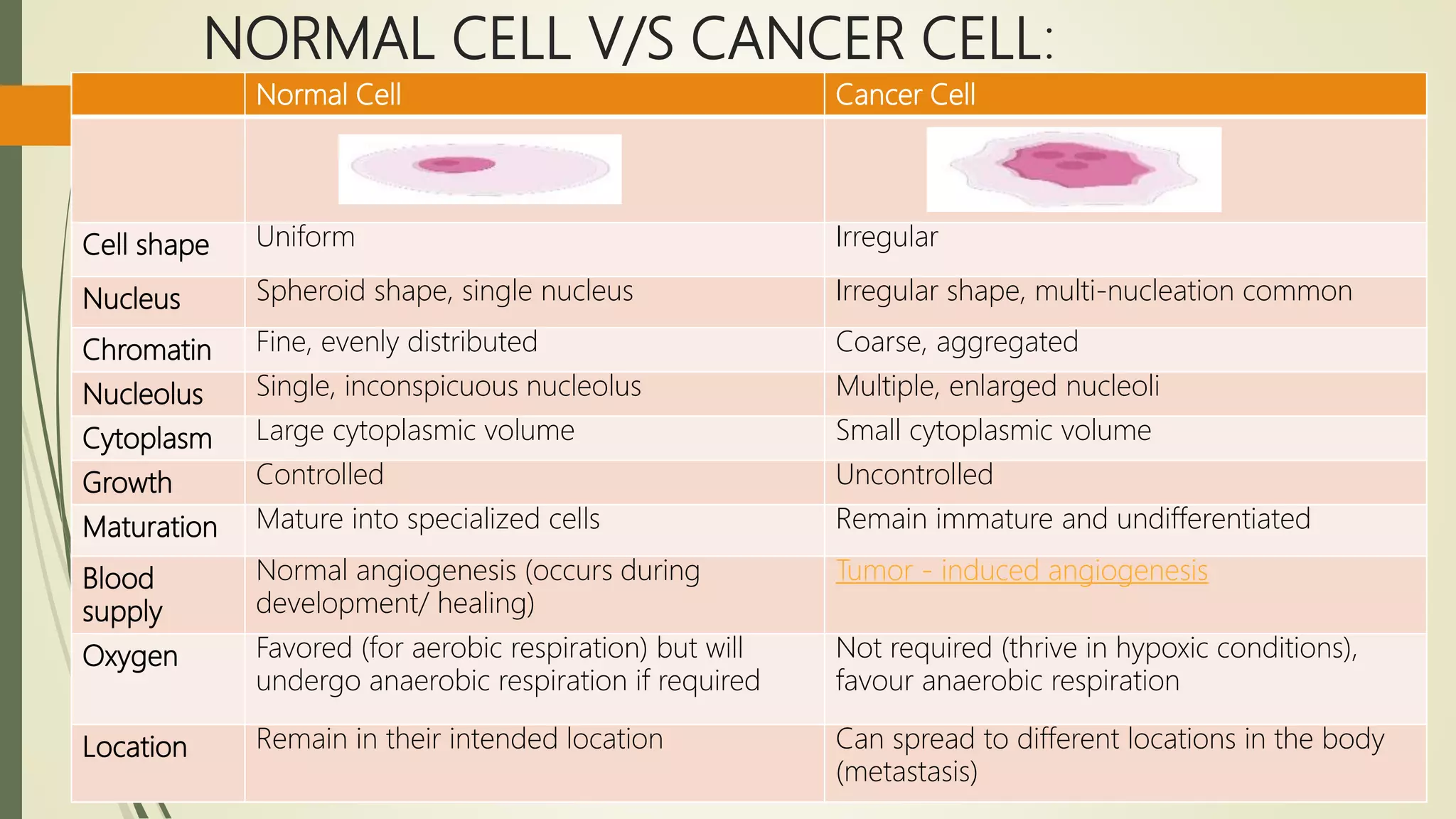 Cancer stem cells | PPTX
