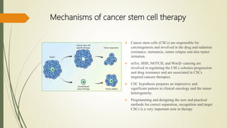 Cancer stem cells | PPTX