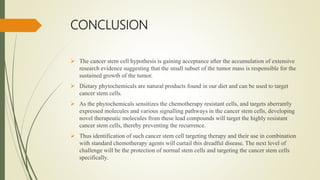 Cancer stem cells | PPTX