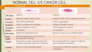 Cancer stem cells | PPTX