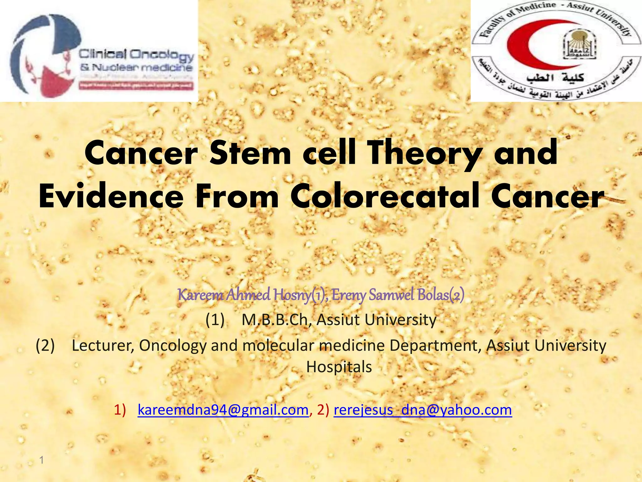 Cancer stem cell theory and evidence from colorecatal | PPTX