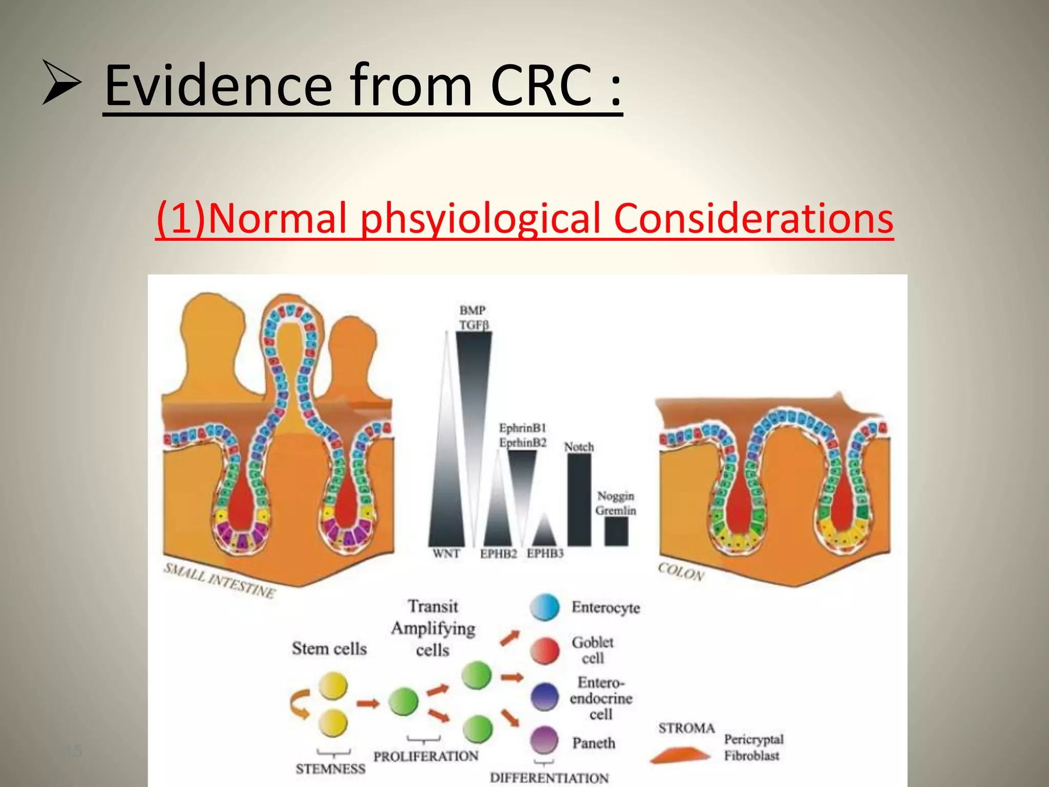 Cancer stem cell theory and evidence from colorecatal | PPT