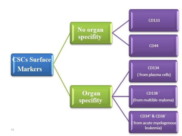 Cancer stem cell theory and evidence from colorecatal | PPT