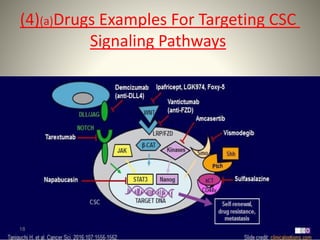 Cancer stem cell theory and evidence from colorecatal | PPT