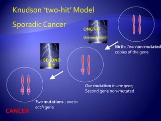 Cancer susceptibility syndromes dr. varun | PPTX