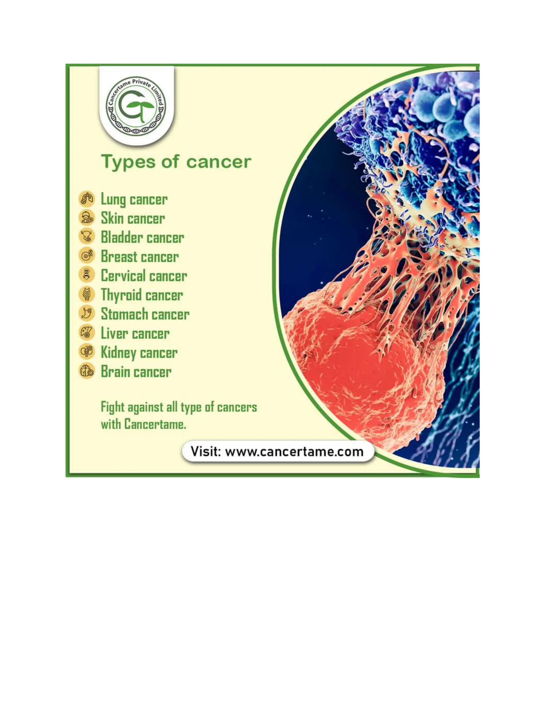 Revolutionizing Cancer Care: Meet Cancertame, a Breakthrough Ayurvedic ...