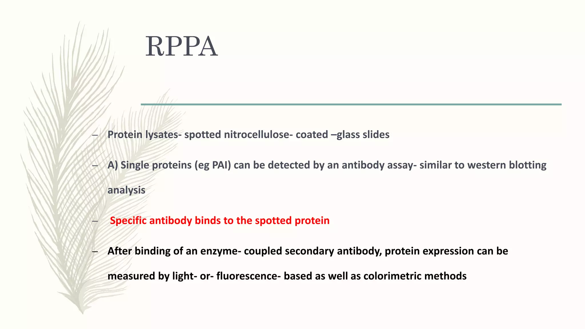 Cancer therapy at protein level | PPTX