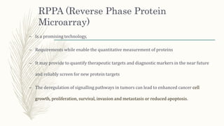 Cancer therapy at protein level | PPTX