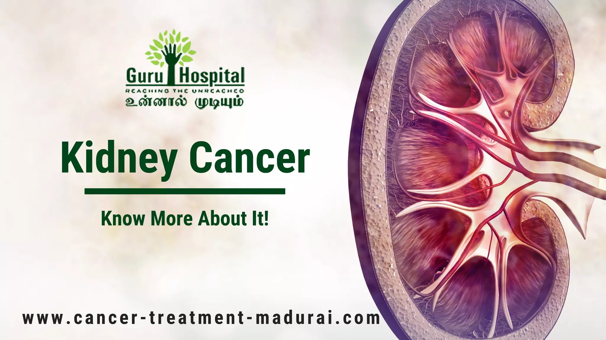 Kidney Cancer Treatment Madurai | Kidney Cancer Symptoms | Cancer ...