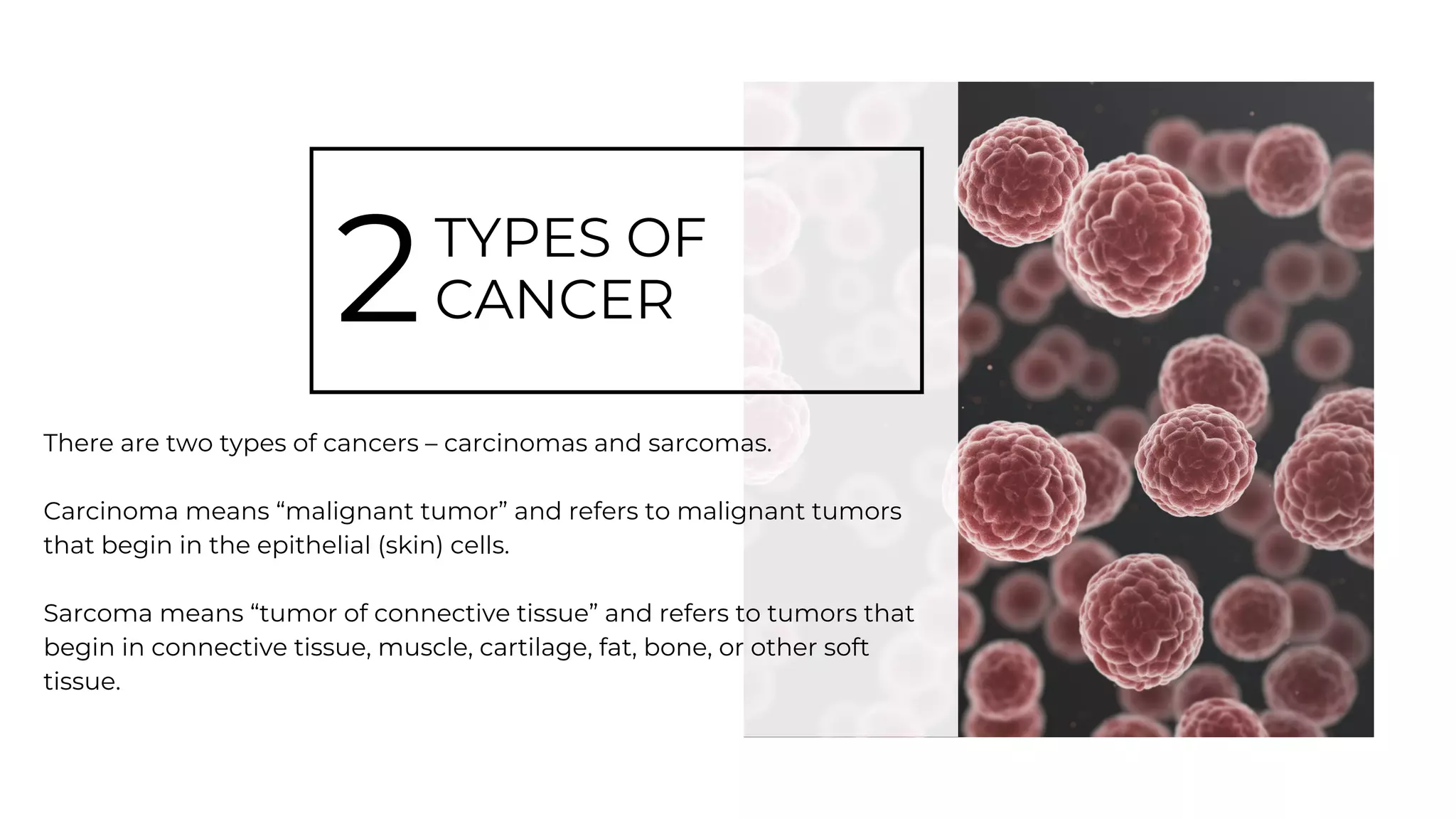 Cancer types.pdf