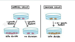 Cancer types , spread , and it’s properties | PPTX
