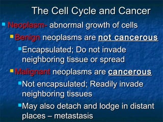 Cancer PPT (From Mrs. Brenda Lee) | PPT