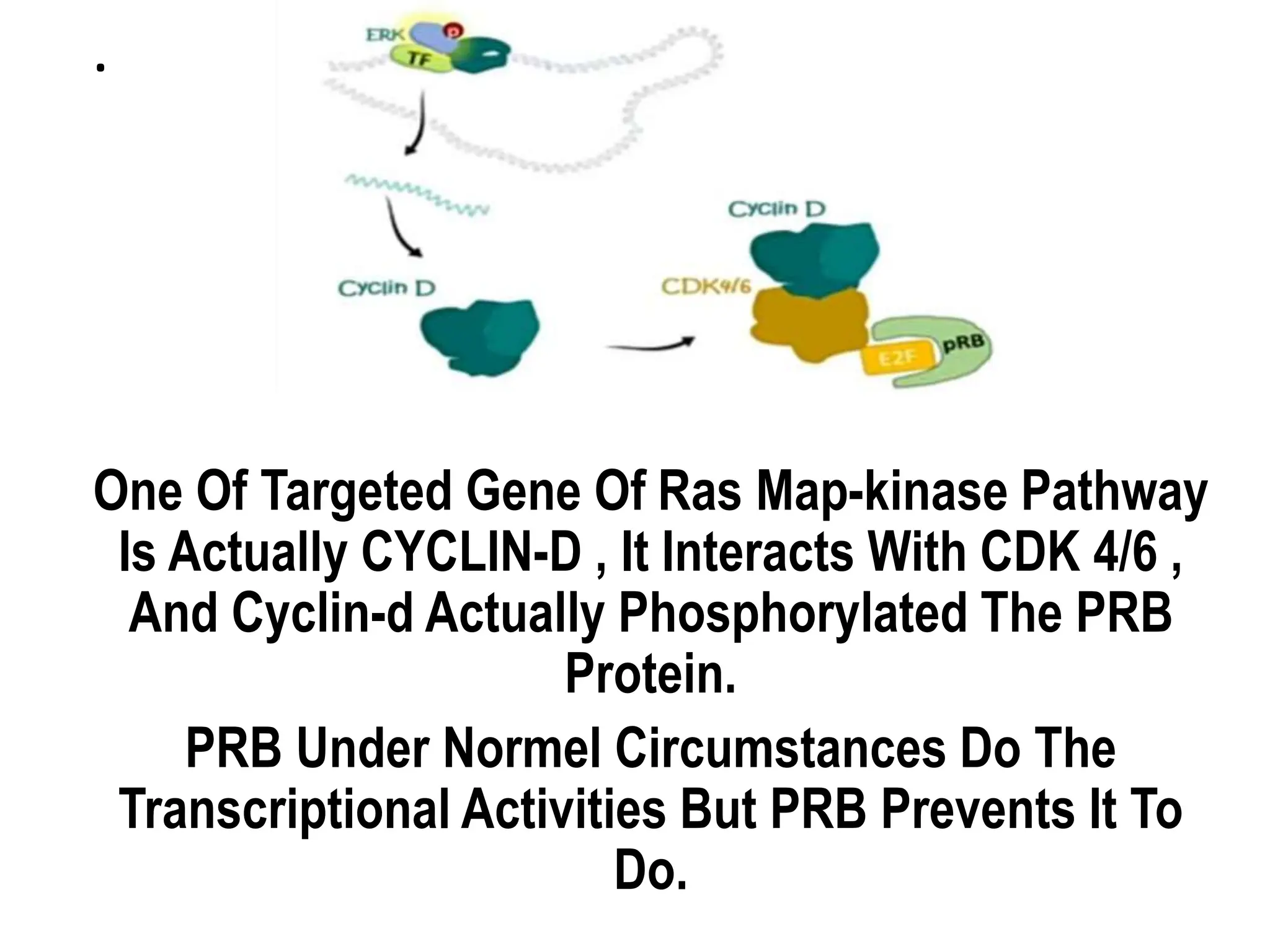 Cancer , Types of Cancer , Mechanism , RAP MapK Pathway , Treatment | PPT